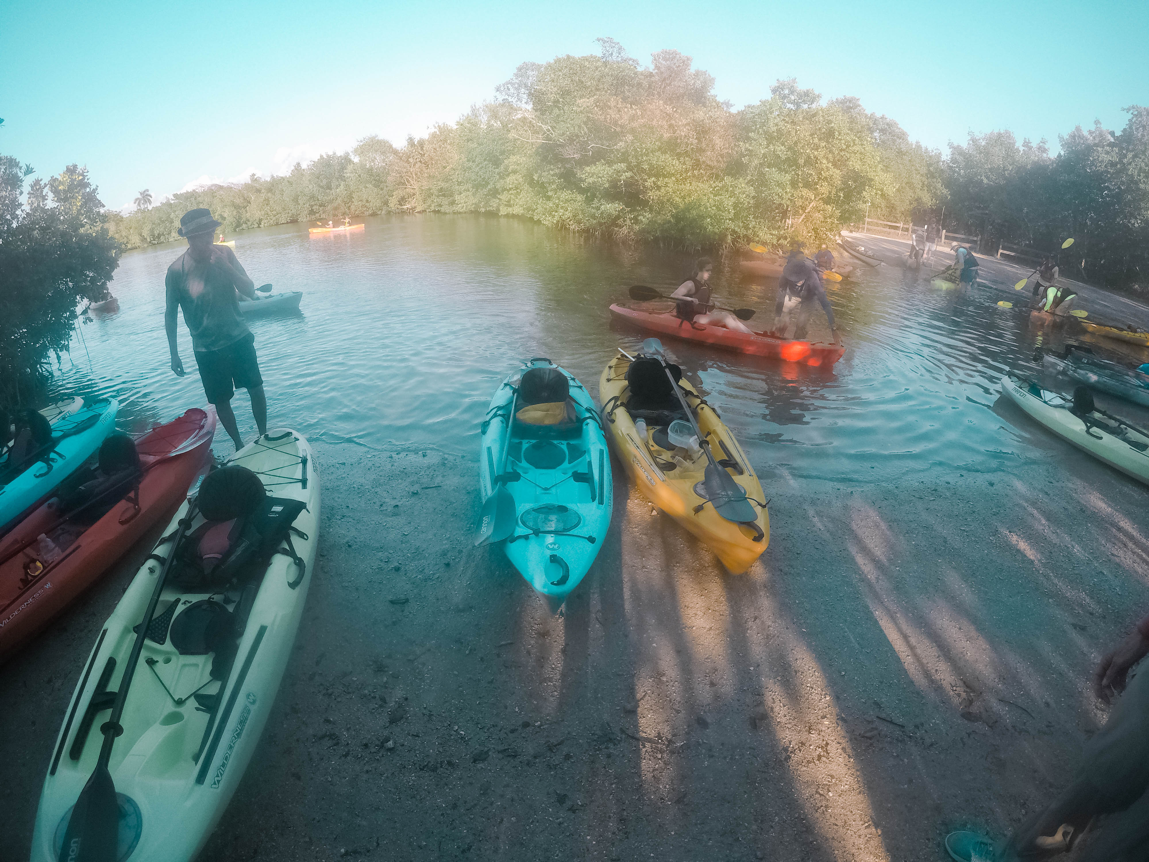 10 Things to Do in Naples, Florida | Christina Galbato